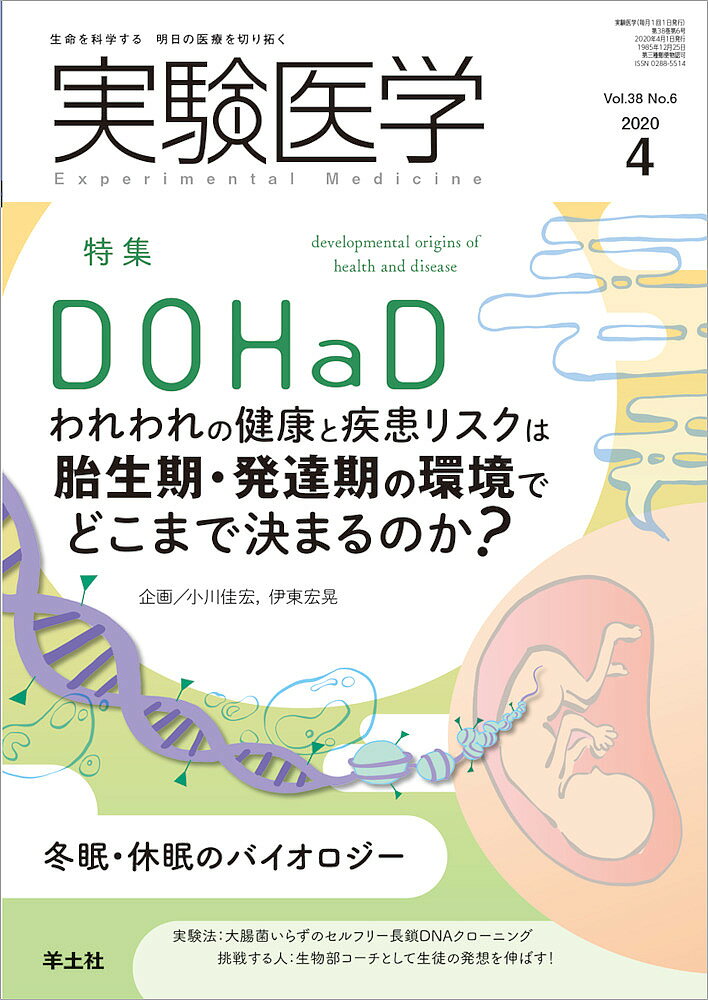出版社羊土社発売日2020年04月ISBN9784758125307ページ数P916〜1060キーワードじつけんいがく38ー6（2020ー4） ジツケンイガク38ー6（2020ー4） おがわ よしひろ いとう ひろ オガワ ヨシヒロ イトウ...