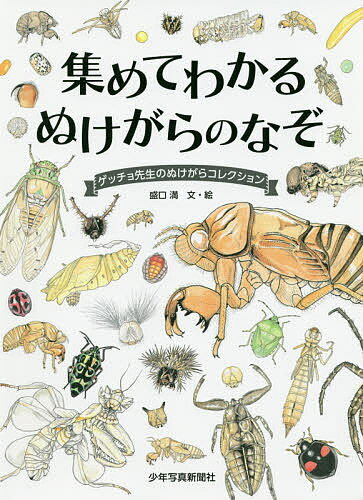 著者盛口満(文)出版社少年写真新聞社発売日2020年07月ISBN9784879817099ページ数63Pキーワードプレゼント ギフト 誕生日 子供 クリスマス 子ども こども あつめてわかるぬけがらのなぞげつちよせんせい アツメテワカルヌ...