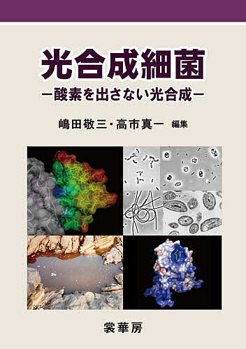 著者嶋田敬三(編集) 高市真一(編集)出版社裳華房発売日2020年10月ISBN9784785358709ページ数302Pキーワードこうごうせいさいきんさんそおださないこうごうせい コウゴウセイサイキンサンソオダサナイコウゴウセイ しまだ ...