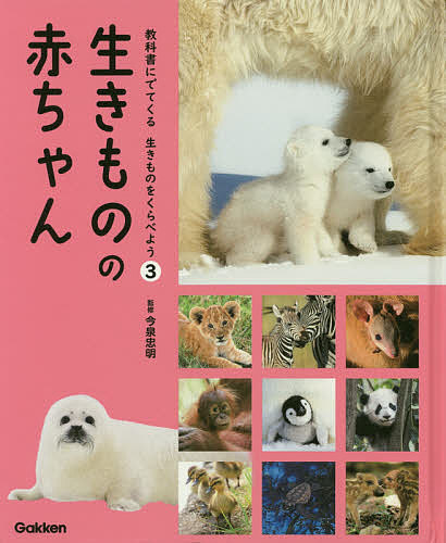 著者今泉忠明(監修)出版社Gakken発売日2020年02月ISBN9784055013239ページ数39Pキーワードプレゼント ギフト 誕生日 子供 クリスマス 子ども こども きようかしよにでてくるいきものおくらべよう キヨウカシヨニデ...