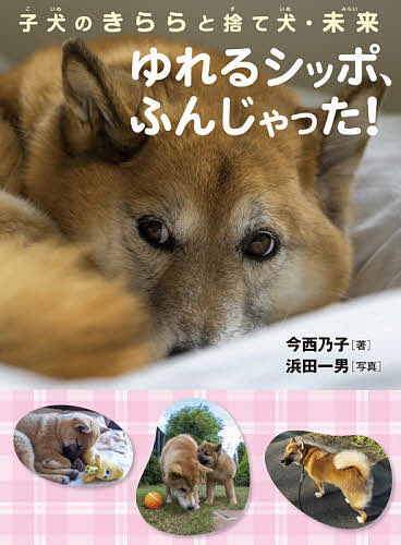 著者今西乃子(著) 浜田一男(写真)出版社岩崎書店発売日2021年07月ISBN9784265840274ページ数125Pキーワードプレゼント ギフト 誕生日 子供 クリスマス 子ども こども ゆれるしつぽふんじやつたこいぬのきららと ユレ...
