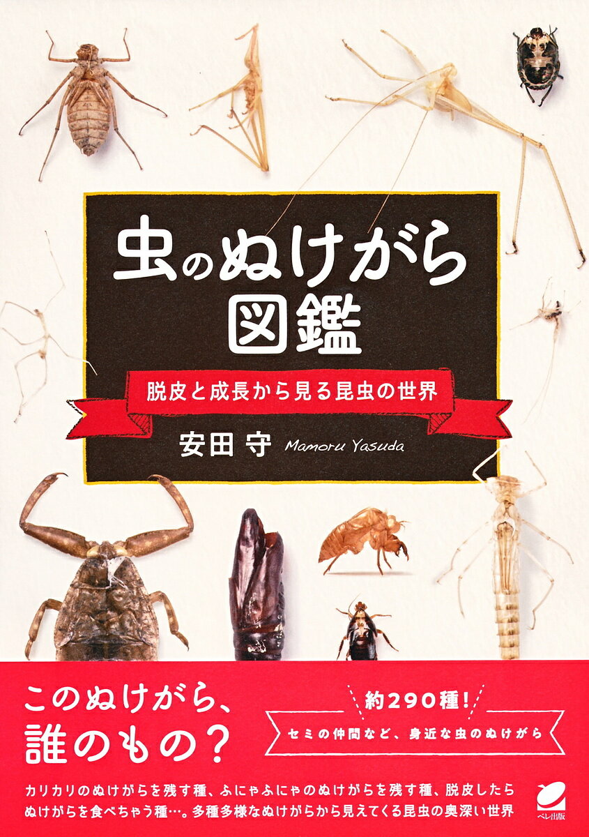 ※商品画像はイメージや仮デザインが含まれている場合があります。帯の有無など実際と異なる場合があります。著者安田守(著)出版社ベレ出版発売日2021年07月ISBN9784860646608ページ数202Pキーワードむしのぬけがらずかんだつぴ...