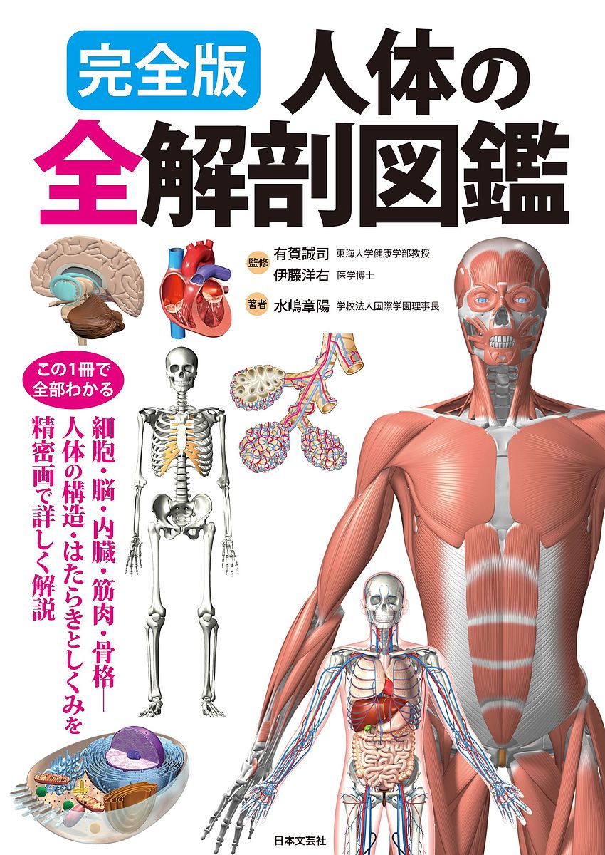 ※商品画像はイメージや仮デザインが含まれている場合があります。帯の有無など実際と異なる場合があります。著者水嶋章陽(著) 有賀誠司(監修) 伊藤洋右(監修)出版社日本文芸社発売日2021年11月ISBN9784537219371ページ数35...