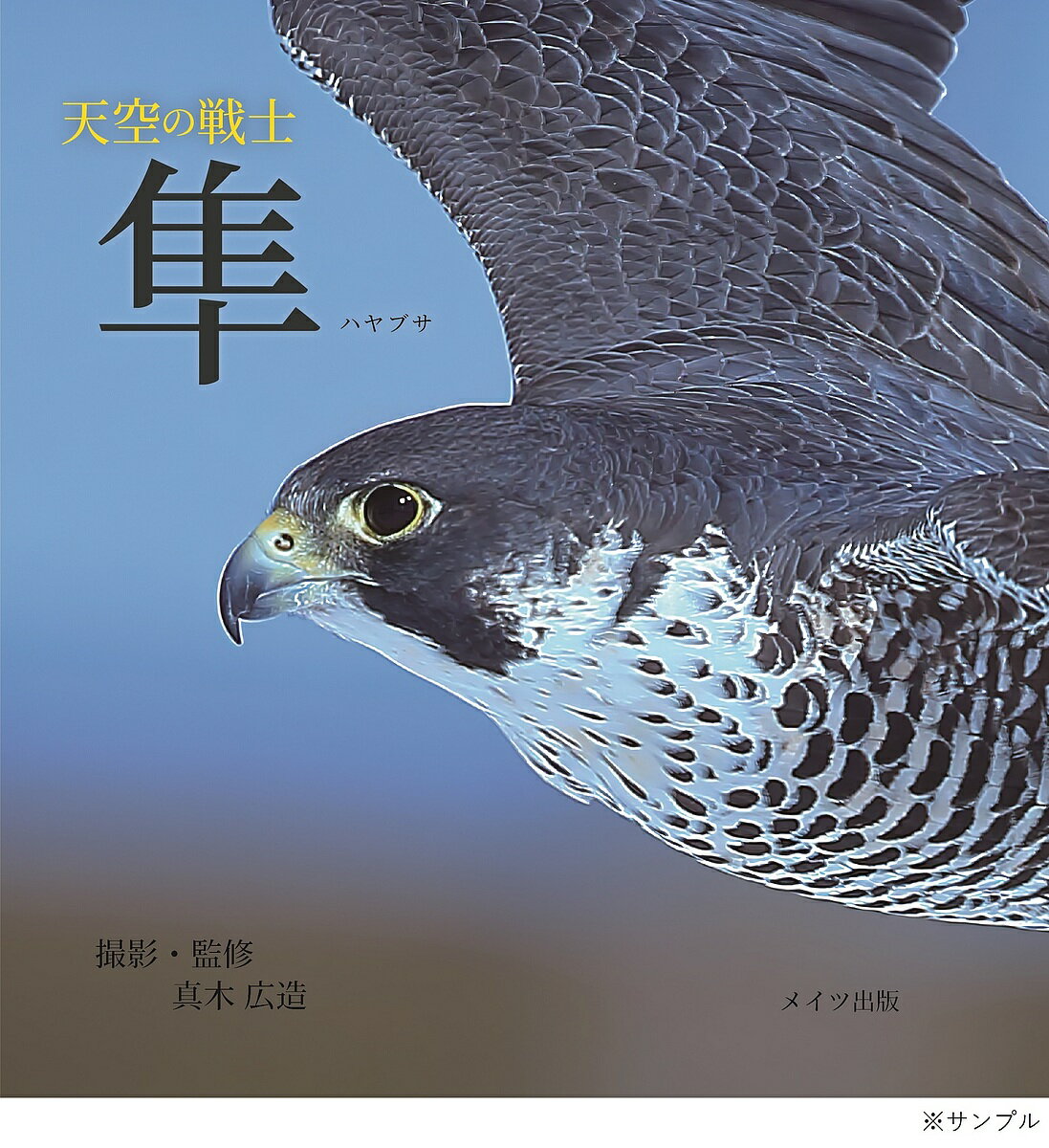 著者真木広造(撮影)出版社メイツユニバーサルコンテンツ発売日2021年10月ISBN9784780425420ページ数119Pキーワードてんくうのせんしはやぶさ テンクウノセンシハヤブサ まき ひろぞう マキ ヒロゾウ97847804254...