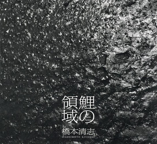 著者橋本清志(著)出版社日本写真企画発売日2022年04月ISBN9784865621396ページ数1冊（ページ付なし）キーワードこいのりよういきはしもときよししやしんしゆう コイノリヨウイキハシモトキヨシシヤシンシユウ はしもと きよし ...