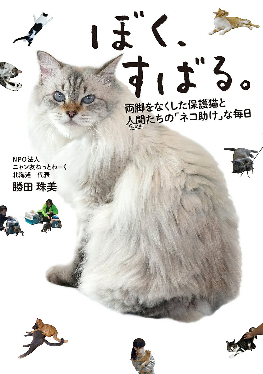 著者勝田珠美(著)出版社二見書房発売日2023年06月ISBN9784576221489ページ数128Pキーワードぼくすばるりようあしおなくしたほごねこと ボクスバルリヨウアシオナクシタホゴネコト かつた たまみ カツタ タマミ978457...
