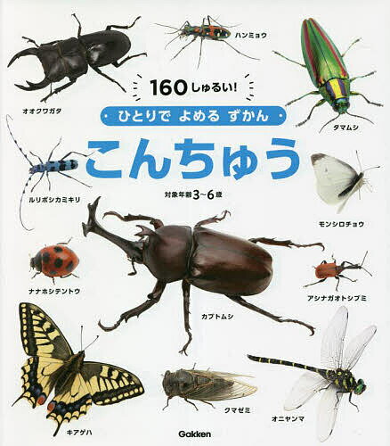 ※商品画像はイメージや仮デザインが含まれている場合があります。帯の有無など実際と異なる場合があります。出版社Gakken発売日2022年11月ISBN9784052055188ページ数96Pキーワードこんちゆうひやくろくじつしゆるい160し...