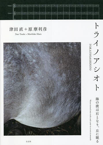 著者津田直(作) 原摩利彦(作) 太田市美術館・図書館(編)出版社左右社発売日2022年10月ISBN9784865283402ページ数135Pキーワードとらいのあしおとうみのなみわ トライノアシオトウミノナミワ つだ なお はら まりひこ...