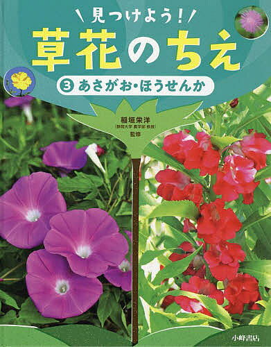 著者稲垣栄洋(監修)出版社小峰書店発売日2022年04月ISBN9784338349031ページ数31Pキーワードプレゼント ギフト 誕生日 子供 クリスマス 子ども こども みつけようくさばなのちえ3 ミツケヨウクサバナノチエ3 いながき...