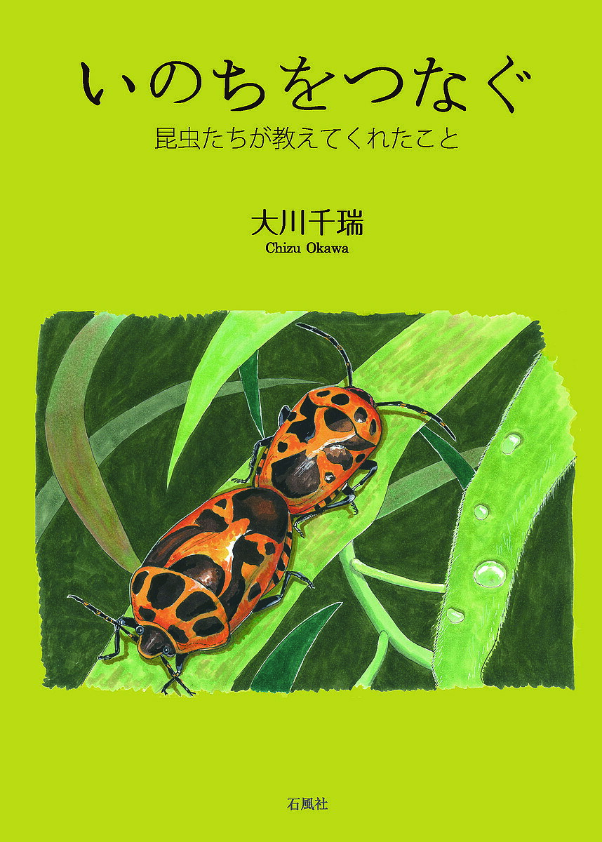 著者大川千瑞(著)出版社石風社発売日2022年12月ISBN9784883443147キーワードいのちをつなぐ イノチヲツナグ おおかわ ちず オオカワ チズ9784883443147内容紹介身近に棲む昆虫たちの〈いのちの輝き〉がこころに響...