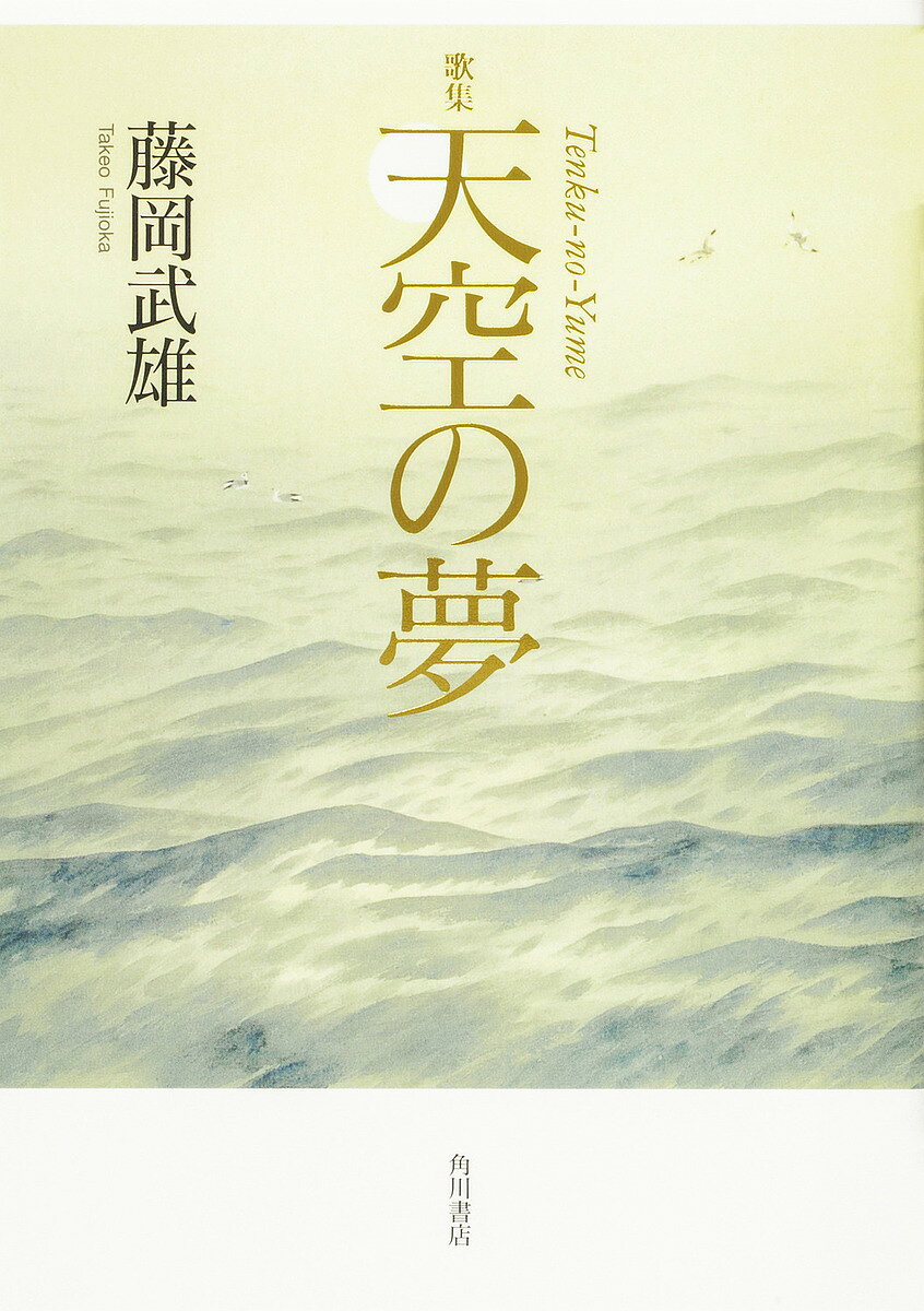 ※商品画像はイメージや仮デザインが含まれている場合があります。帯の有無など実際と異なる場合があります。出版社角川文化振興財発売日2023年05月ISBN9784048845304キーワードかしゆうてんくうのゆめ カシユウテンクウノユメ ふじ...