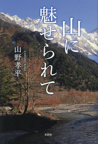 著者山野孝平(著)出版社文芸社発売日2023年10月ISBN9784286244464ページ数159Pキーワードやまにみせられて ヤマニミセラレテ やまの こうへい ヤマノ コウヘイ9784286244464