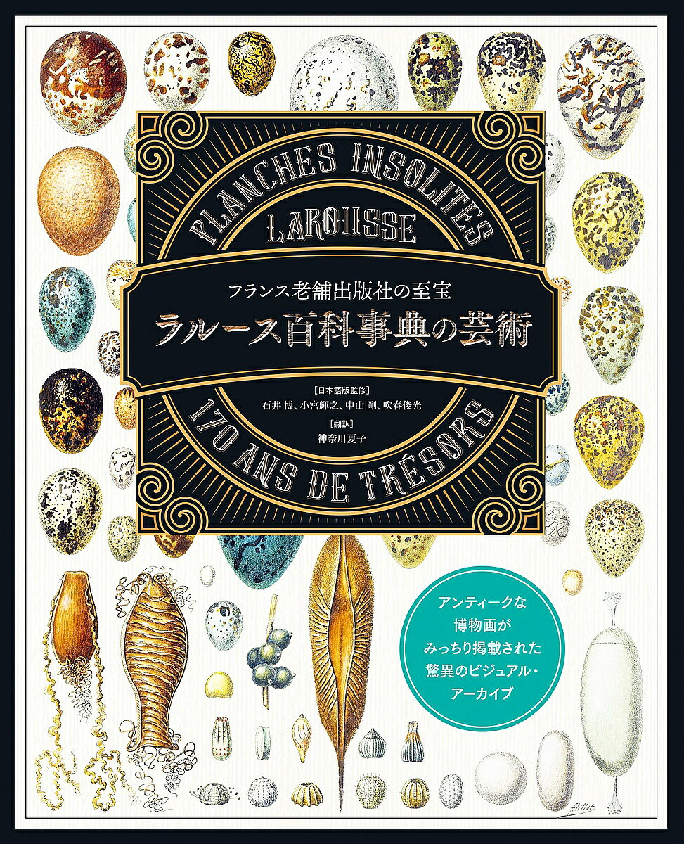 著者ラルース(編) 石井博(日本語版監修) 小宮輝之(日本語版監修)出版社グラフィック社発売日2024年01月ISBN9784766138061ページ数175Pキーワードらるーすひやつかじてんのげいじゆつふらんすしにせ ラルースヒヤツカジテ...