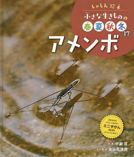 ※商品画像はイメージや仮デザインが含まれている場合があります。帯の有無など実際と異なる場合があります。著者池田菜津美(文)出版社ポプラ社発売日2024年03月ISBN9784591180709ページ数41Pキーワードえほん 絵本 プレゼント...