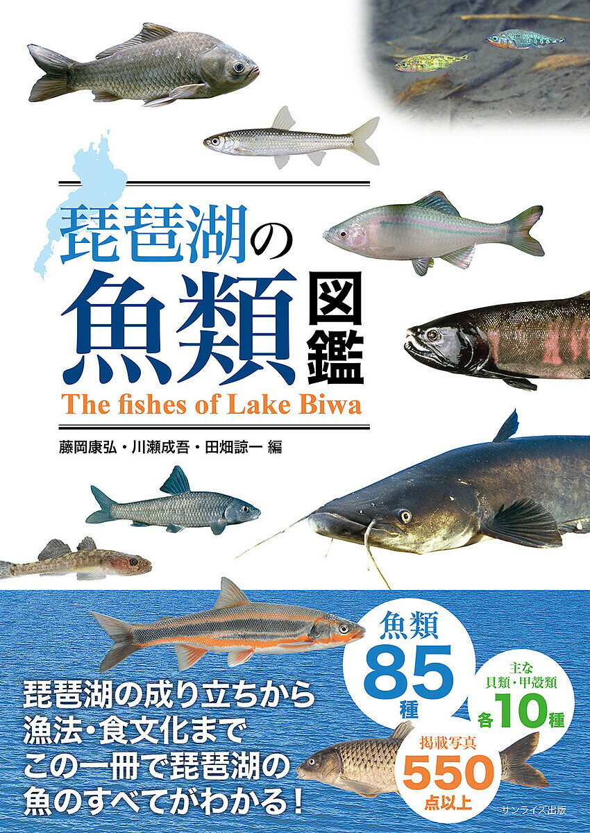 ※商品画像はイメージや仮デザインが含まれている場合があります。帯の有無など実際と異なる場合があります。著者藤岡康弘(編) 川瀬成吾(編) 田畑諒一(編)出版社サンライズ出版発売日2024年08月ISBN9784883258253ページ数22...