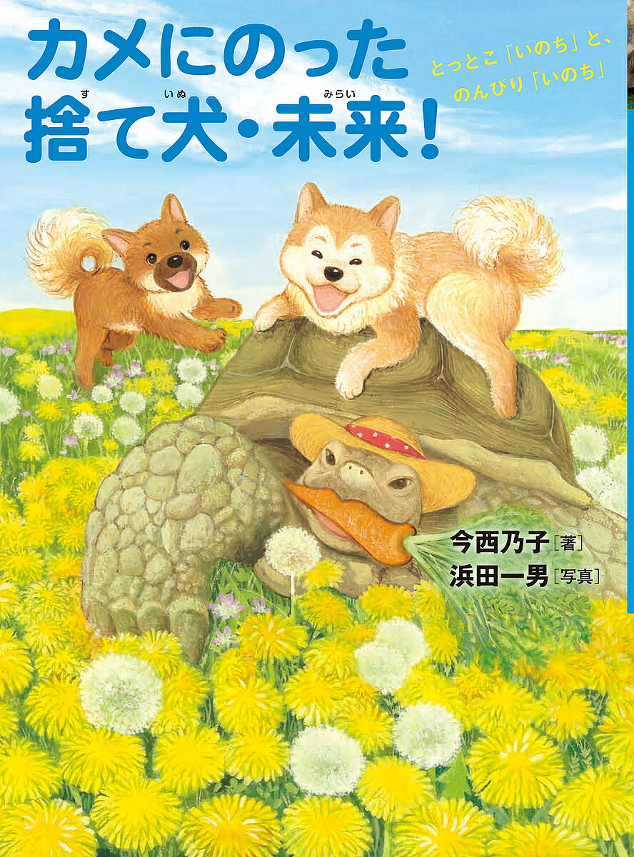 著者今西乃子(著) 浜田一男(写真)出版社岩崎書店発売日2024年11月ISBN9784265080434ページ数125Pキーワードかめにのつたすていぬみらいとつとこいのち カメニノツタステイヌミライトツトコイノチ いまにし のりこ はまだ...