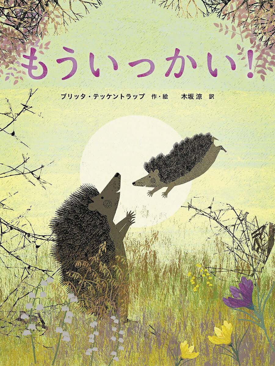 著者ブリッタ・テッケントラップ(作・絵) 木坂涼(訳)出版社ひさかたチャイルド発売日2025年02月ISBN9784865493436ページ数25Pキーワードもういつかい モウイツカイ てつけんとらつぷ ぶりつた T テツケントラツプ ブリ...