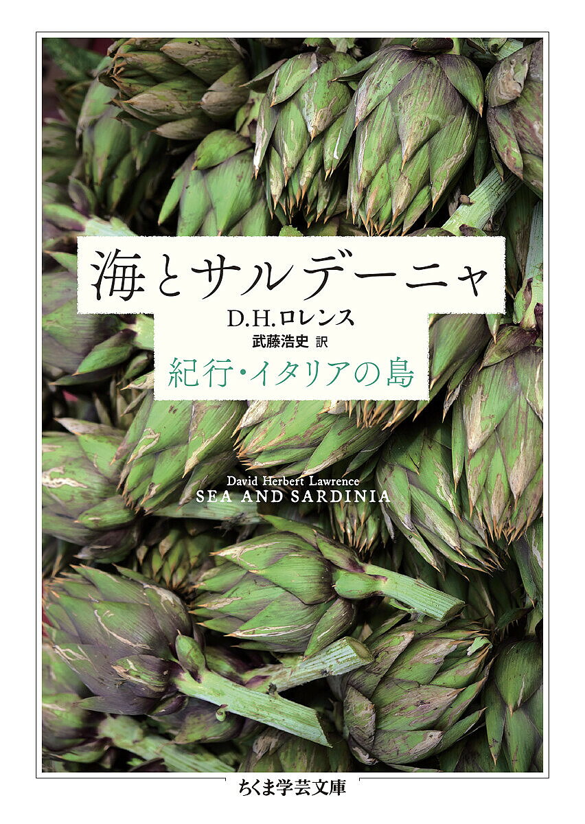 ※商品画像はイメージや仮デザインが含まれている場合があります。帯の有無など実際と異なる場合があります。著者D．H．ロレンス(著) 武藤浩史(訳)出版社筑摩書房発売日2025年02月ISBN9784480512833ページ数355Pキーワード...