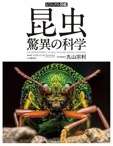 ※商品画像はイメージや仮デザインが含まれている場合があります。帯の有無など実際と異なる場合があります。著者デイヴィッド・A．グリマルディ(編集) 顧問中里京子(訳) 丸山宗利(日本語版監修)出版社河出書房新社発売日2025年05月ISBN9...