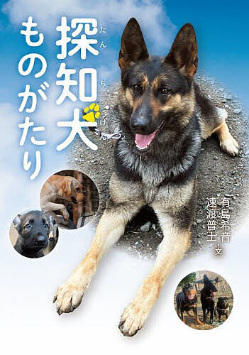 ※商品画像はイメージや仮デザインが含まれている場合があります。帯の有無など実際と異なる場合があります。著者有島希音(文) 速渡普土(文)出版社文研出版発売日2025年06月ISBN9784580826922ページ数126Pキーワードたんちけ...