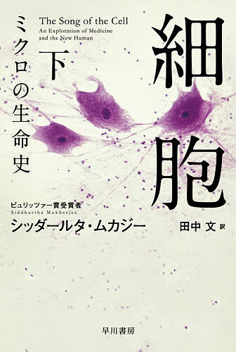 ※商品画像はイメージや仮デザインが含まれている場合があります。帯の有無など実際と異なる場合があります。著者シッダールタ・ムカジー(著) 田中文(訳)出版社早川書房発売日2026年03月ISBN9784150506247ページ数430Pキーワ...
