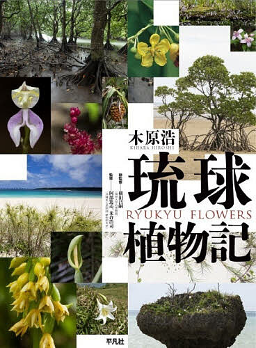 ※商品画像はイメージや仮デザインが含まれている場合があります。帯の有無など実際と異なる場合があります。著者木原浩(著) 横田昌嗣(総監修) 阿部篤志(監修)出版社平凡社発売日2026年03月ISBN9784582542691ページ数551P...