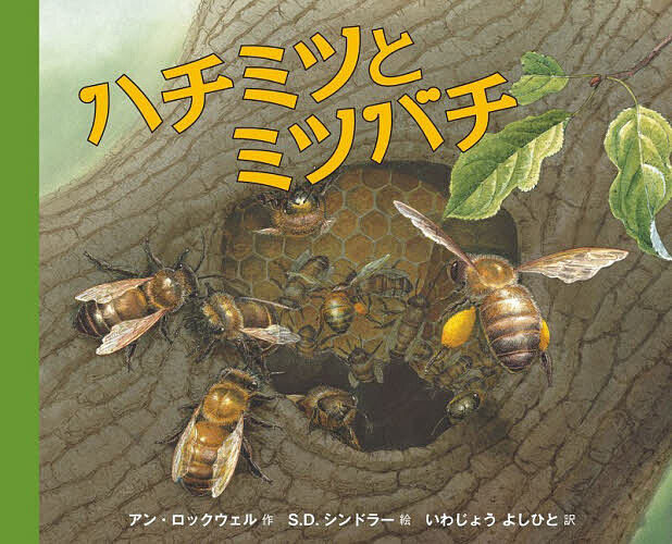 ※商品画像はイメージや仮デザインが含まれている場合があります。帯の有無など実際と異なる場合があります。著者アン・ロックウェル(作) S．D．シンドラー(絵) いわじょうよしひと(訳)出版社好学社発売日2026年05月ISBN97847690...