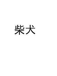 ※商品画像はイメージや仮デザインが含まれている場合があります。帯の有無など実際と異なる場合があります。出版社山と溪谷社発売日2026年09月08日ISBN9784635863520キーワードしばいぬ シバイヌ9784635863520