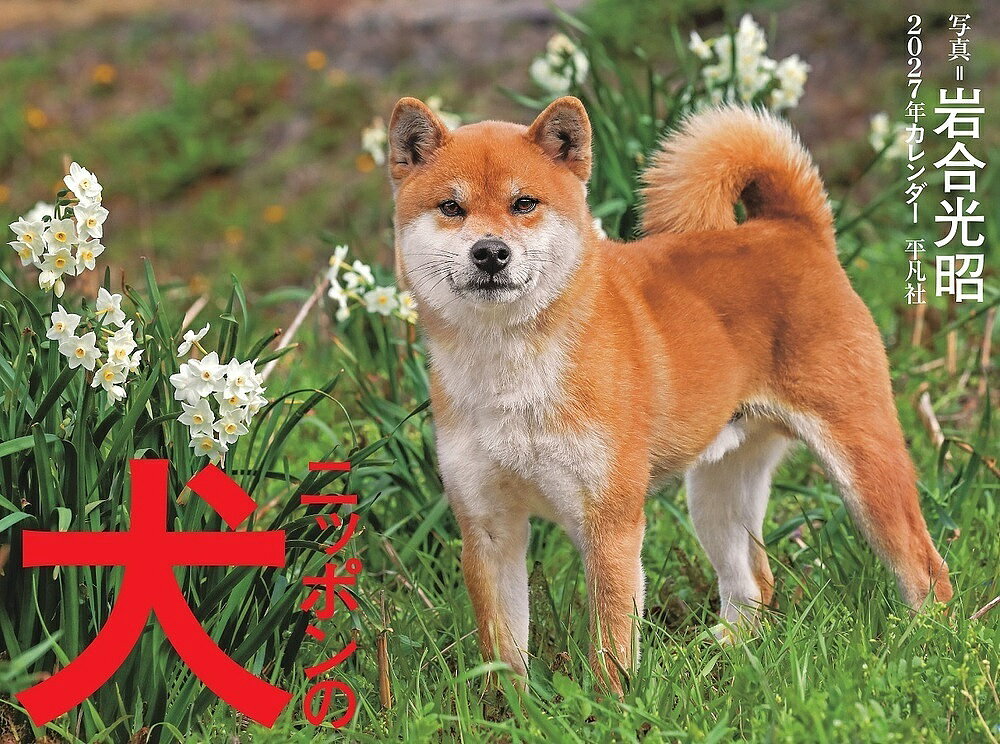 ※商品画像はイメージや仮デザインが含まれている場合があります。帯の有無など実際と異なる場合があります。著者岩合光昭出版社平凡社発売日2026年10月05日ISBN9784582646269キーワード2027ねんかれんだーにっぽんのいぬ 20...