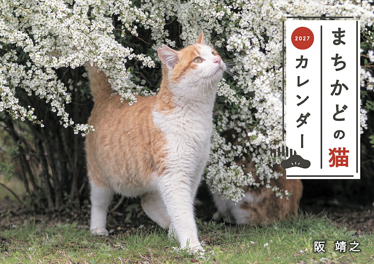 ※商品画像はイメージや仮デザインが含まれている場合があります。帯の有無など実際と異なる場合があります。著者阪靖之(写真)出版社緑書房発売日2026年09月10日ISBN9784868110682キーワードまちかどのねこかれんだーにせんにじゅ...