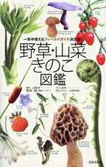 茸本朗(著者),HS(著者)販売会社/発売会社：日本文芸社発売年月日：2024/08/27JAN：9784537222340