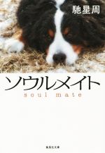 馳星周(著者)販売会社/発売会社：集英社発売年月日：2015/09/01JAN：9784087453607