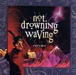 NotDrowningWaving（アーティスト）販売会社/発売会社：WarnerBros／Wea発売年月日：1993/09/28JAN：0093624516927