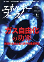 エネルギーフォーラム販売会社/発売会社：エネルギーフォーラム発売年月日：2024/06/05JAN：4910136510648