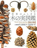 小林智洋(著者),山東智紀(著者)販売会社/発売会社：創元社発売年月日：2025/08/21JAN：9784422430676