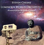 StevenChesne（アーティスト）販売会社/発売会社：CDBaby発売年月日：2013/08/01JAN：0783321000804