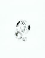立原えりか【文】，いわさきちひろ【絵】販売会社/発売会社：講談社発売年月日：1984/09/01JAN：9784061874916