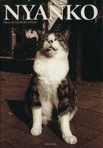 CHIJOFUJI(著者)販売会社/発売会社：新風舎発売年月日：2004/06/11JAN：9784797441833
