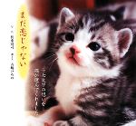 板東寛司【写真】，青嶋ひろの【選・文】販売会社/発売会社：メディアックス発売年月日：2008/09/25JAN：9784862016157