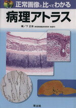 下正宗(著者)販売会社/発売会社：羊土社発売年月日：2008/02/01JAN：9784758106436