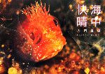 大門直樹【著】販売会社/発売会社：春風社/春風社発売年月日：2006/11/28JAN：9784861100901