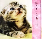 板東寛司【写真】，青嶋ひろの【選・文】販売会社/発売会社：あおば出版/あおば出版発売年月日：2006/12/20JAN：9784873177960