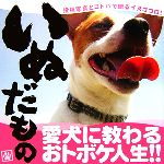 幻冬舎コミックス販売会社/発売会社：幻冬舎コミックス/幻冬舎発売年月日：2007/02/28JAN：9784344807945