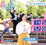 MAGiC　BOYZ販売会社/発売会社：（株）SDR(（株）SDR)発売年月日：2018/03/07JAN：4582465223874