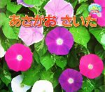 大久保茂徳【監修】，片野隆司【撮影】販売会社/発売会社：ひさかたチャイルド/ 発売年月日：2007/03/01JAN：9784893250650