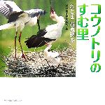 神戸新聞但馬総局【編】販売会社/発売会社：神戸新聞総合出版センター/ 発売年月日：2007/08/20JAN：9784343004260