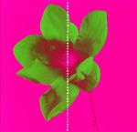 代代代販売会社/発売会社：MINIMARING、DEMONTAPES発売年月日：2021/03/06JAN：4988044863842代代代史上最も気の触れた最狂アルバムついに完成！音楽ファンからも大きな話題を呼んだ前作から約9ヶ月。更にソ...