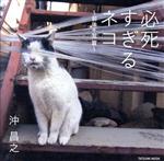 沖昌之(著者)販売会社/発売会社：辰巳出版発売年月日：2019/09/24JAN：9784777822775