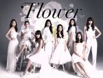 FLOWER販売会社/発売会社：（株）ソニー・ミュージックアソシエイテッドレコーズ(（株）ソニー・ミュージックディストリビューション)発売年月日：2013/12/25JAN：4547403022797／／付属品〜特典DVD1枚、フォトブック付