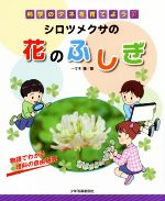 一寸木肇(著者)販売会社/発売会社：少年写真新聞社発売年月日：2018/11/09JAN：9784879816528